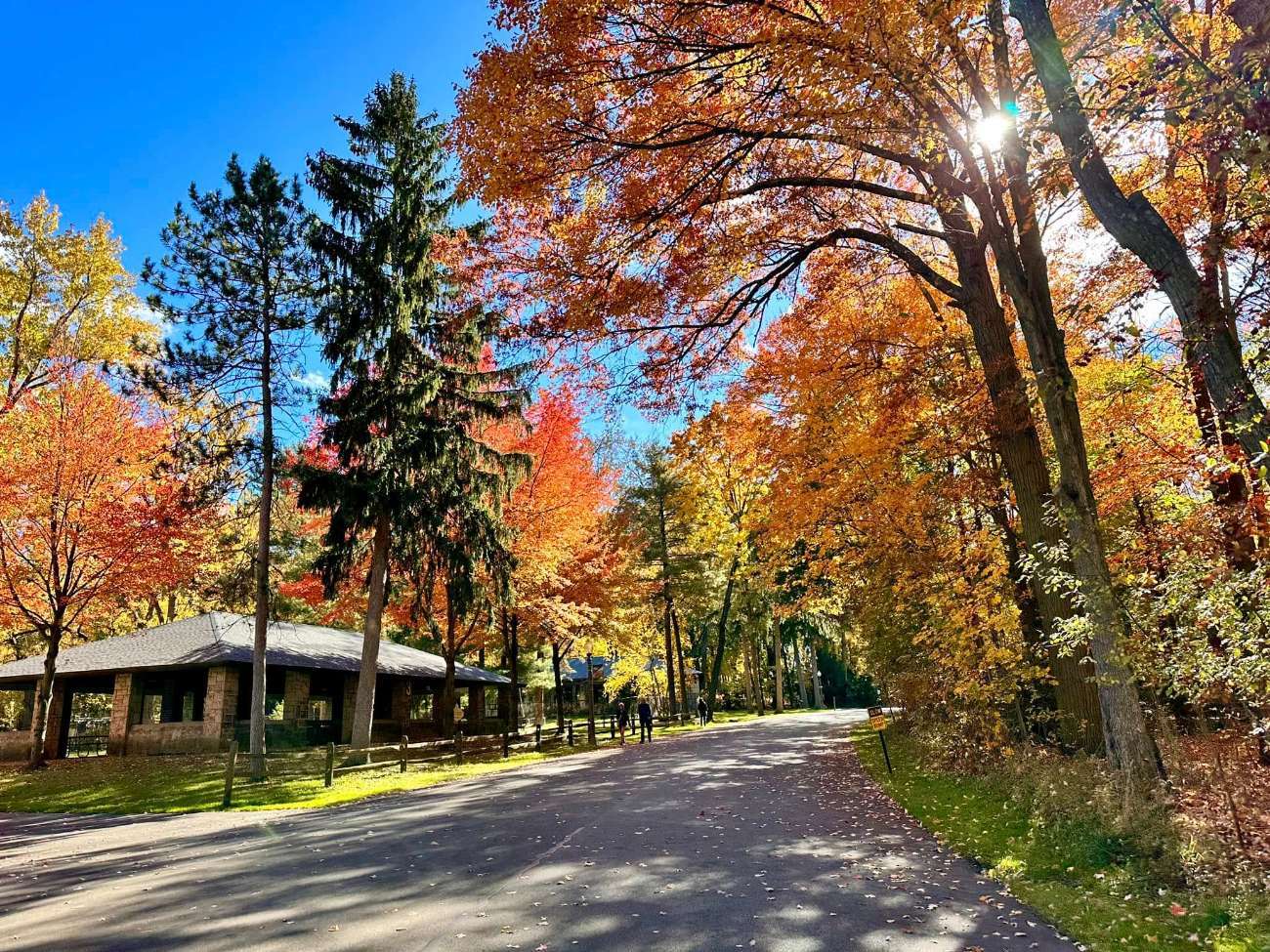 Memorial Tree Program | Buhl Park